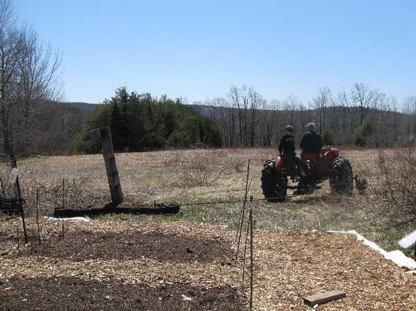 ty-major-tractor - Commonweeder