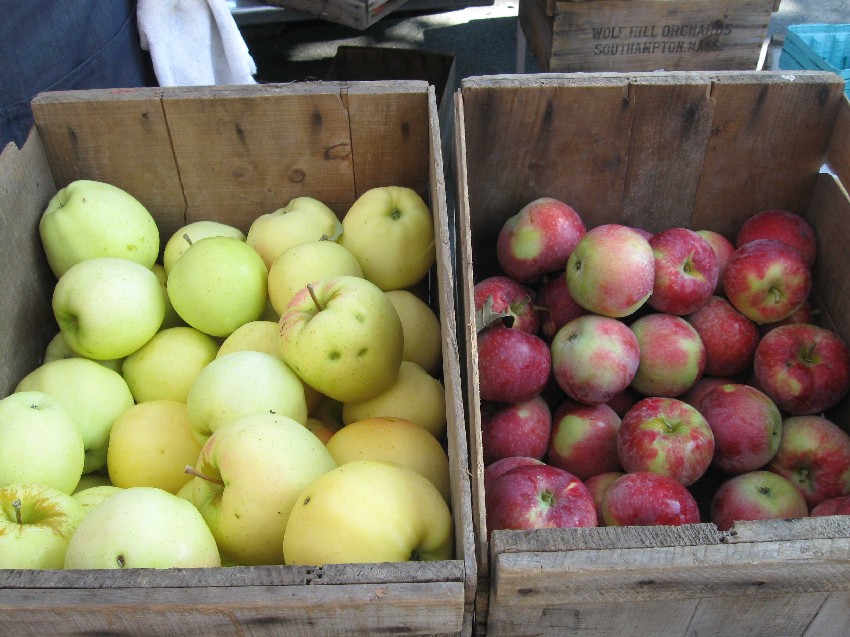 Apples Apples Apples