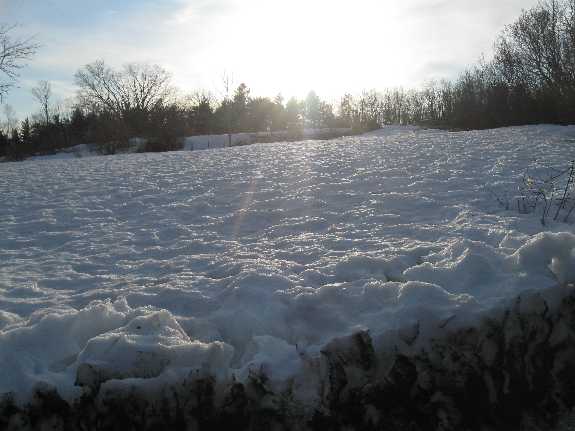 It's Melting - and Melting