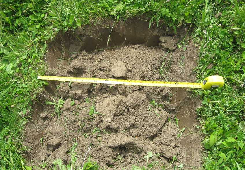 hole 1 - Commonweeder