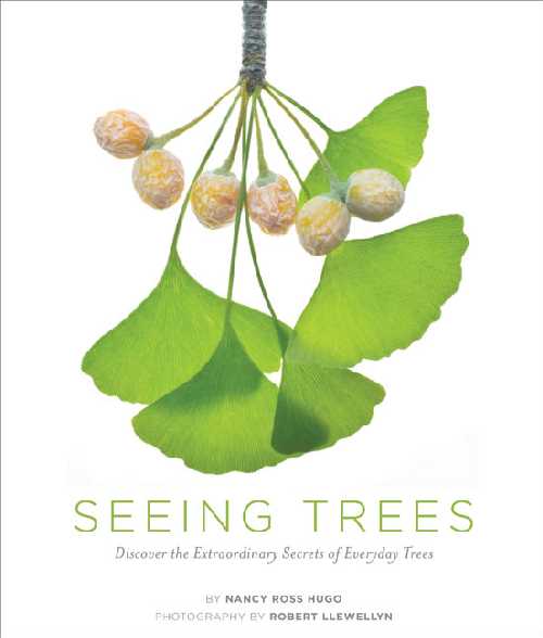 Seeing Trees Contest