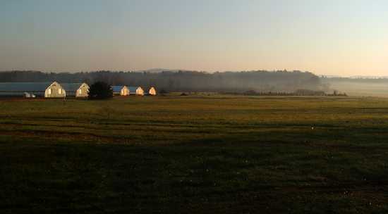 Nasami Farm - Planting Season