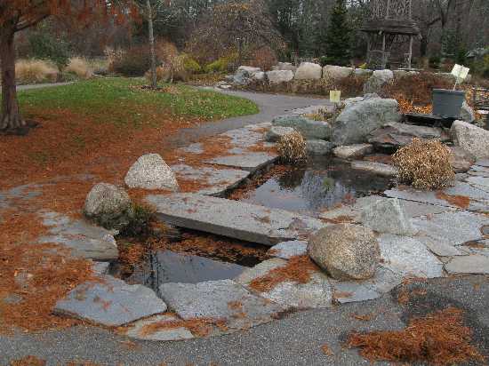 water MHS - Commonweeder