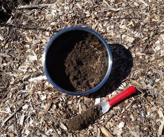 Feed Your Living Soil - Soil Tests Needed