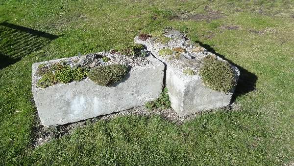 Hypertufa Trough - You Can Make Your Own