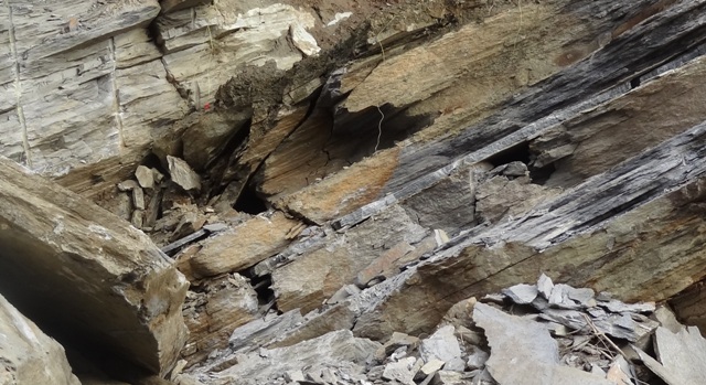 goshen stone 11-5 - Commonweeder