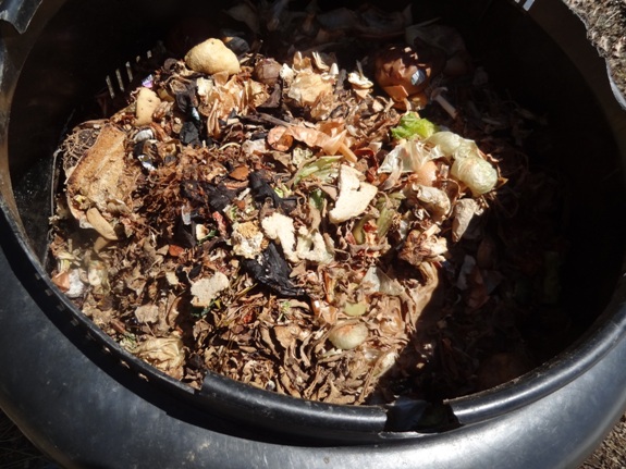 F is for Fertilizer on the A to Z blogger challenge