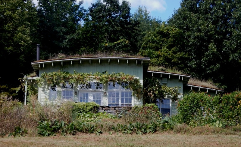 Wildside Cottage and Gardens