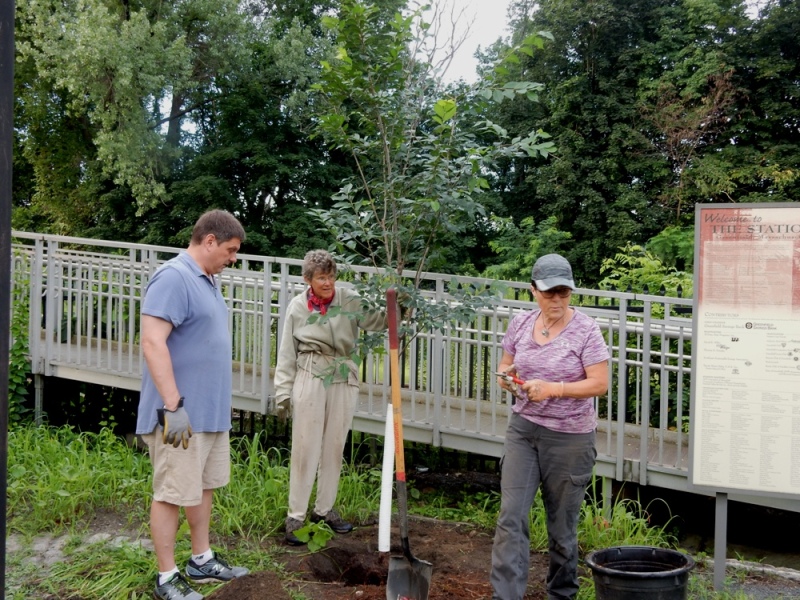Planting Trees, Planting Love at Energy Park Planting Trees Planting Love