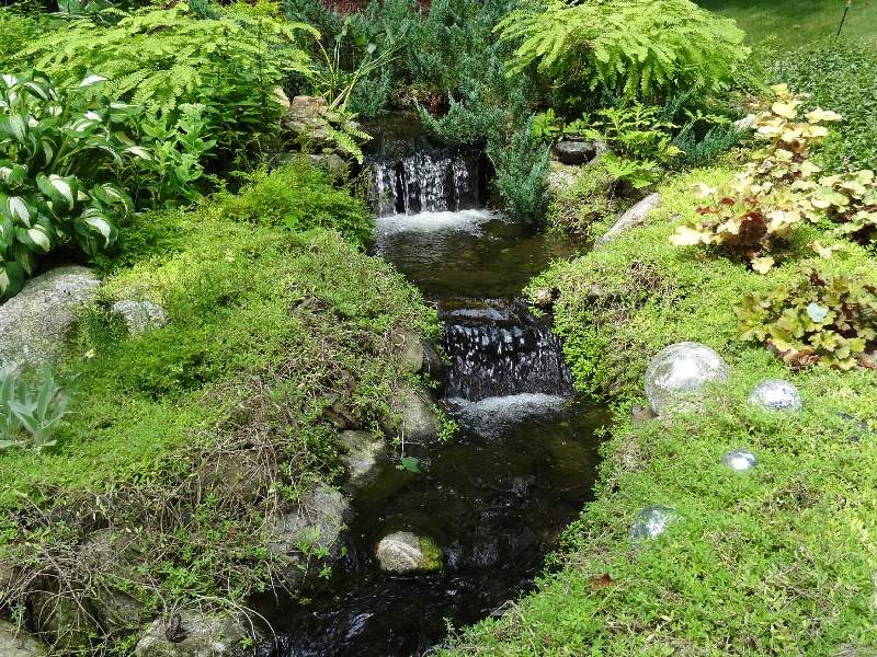 Water an Essential Element - Vital in Every Garden Water an essential ...