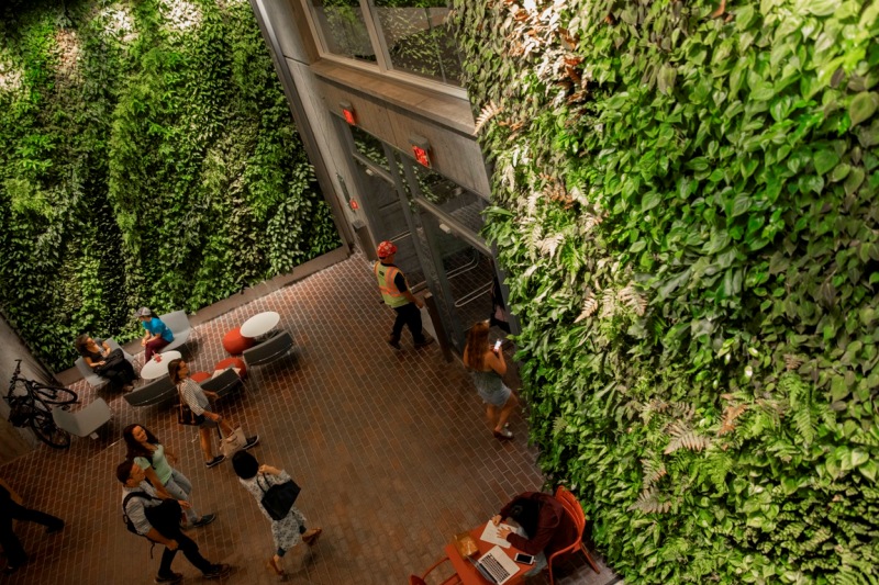 Living Walls for Sustainability at Harvard University