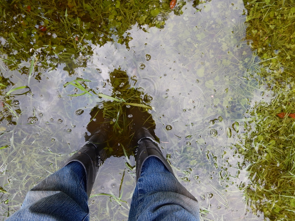 8-14 ankle deep water - Commonweeder