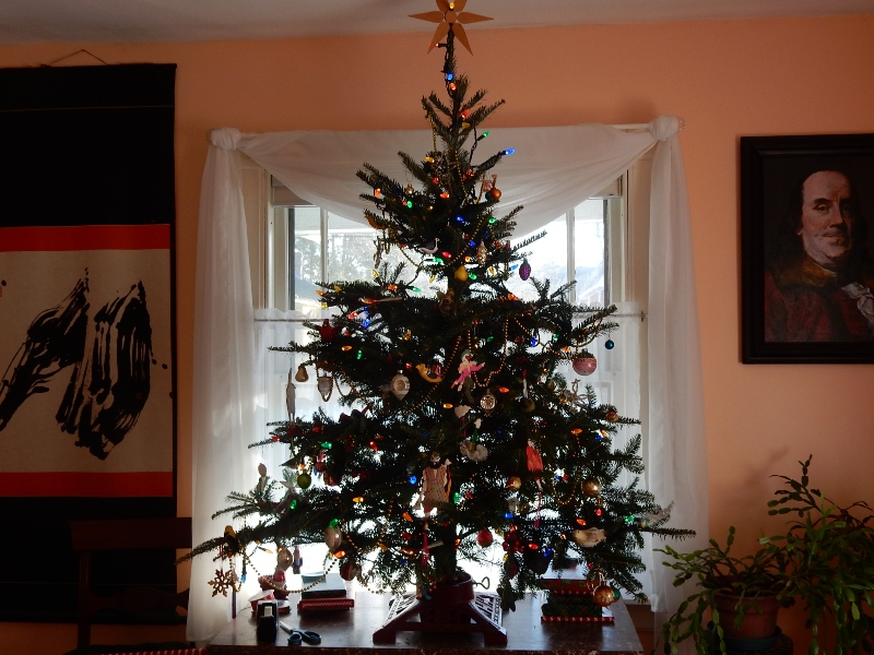 12-25 Christmas tree - Commonweeder