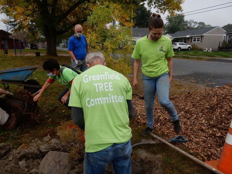 Pleasure and Value of Street Trees - Helped by the Tree Committee