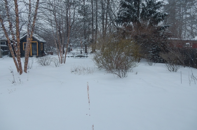 Is It Still Winter? Or Has Spring Arrived?