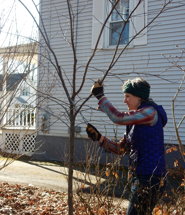 3-21-22 Sarah Evelyn with Saw - Commonweeder