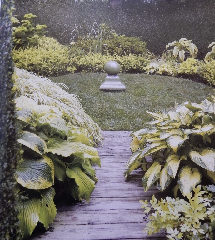 10-4-22 Boxwood hedge and chartruse plants - Commonweeder