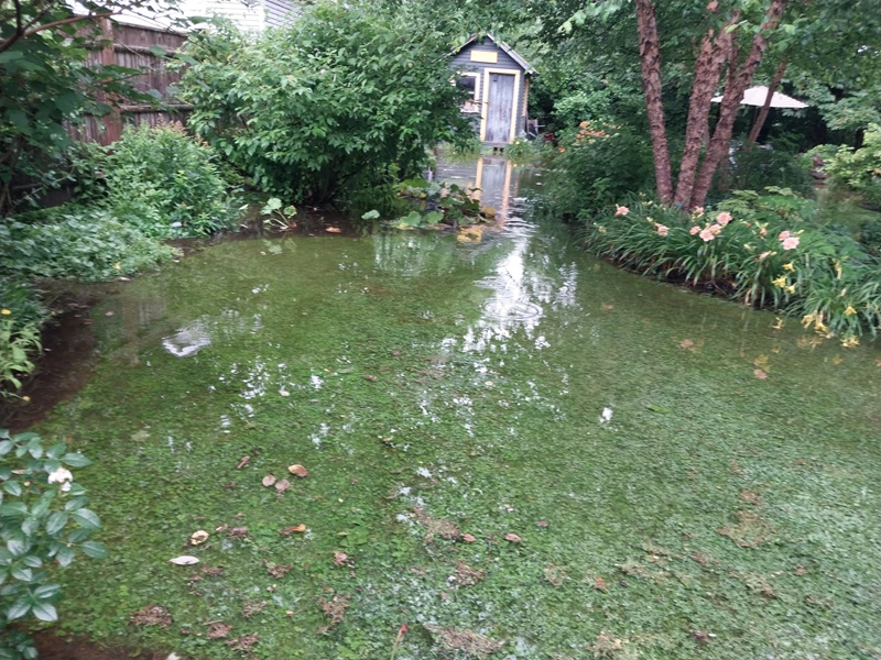 Rain! Disaster! Adventure!