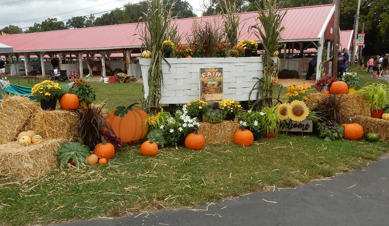 9-7-24 The Franklin County Fair - Commonweeder